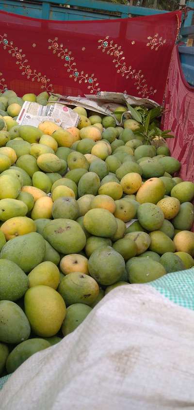 Hello madam chettu pina ila color ravalante | సంఘం | ప్లాంటిక్స్